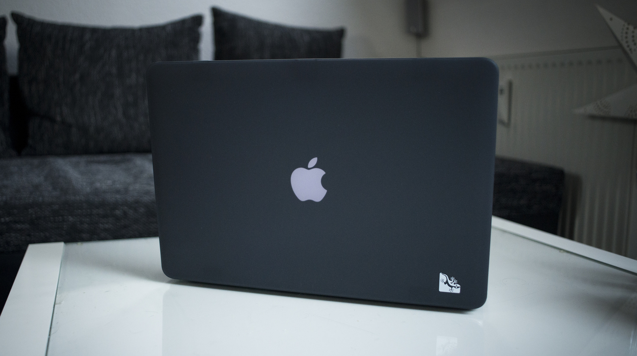 Gecko Covers - Rauhut Photography